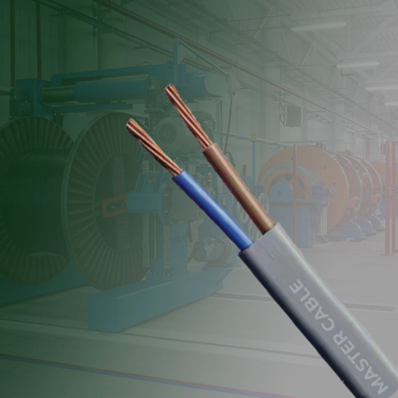 Twin flat cables in Tanzania